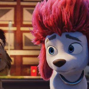 100% Lobo - Filme 2020 - AdoroCinema