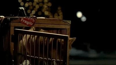 O Chamado 4: Samara Ressurge - Filme 2022 - AdoroCinema