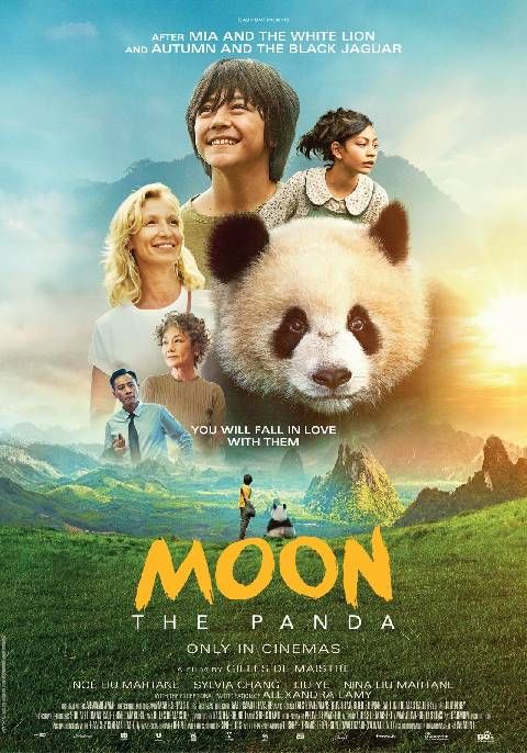 O Menino e o Panda - Filme 2025 - AdoroCinema