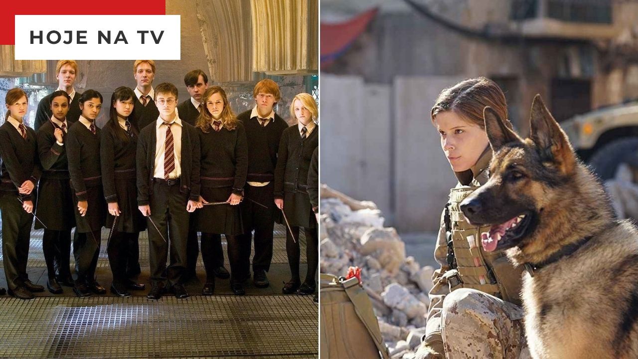 Megan Leavey na Sessão da Tarde (12/12): Filme da Globo compartilha coincidência com Harry ...