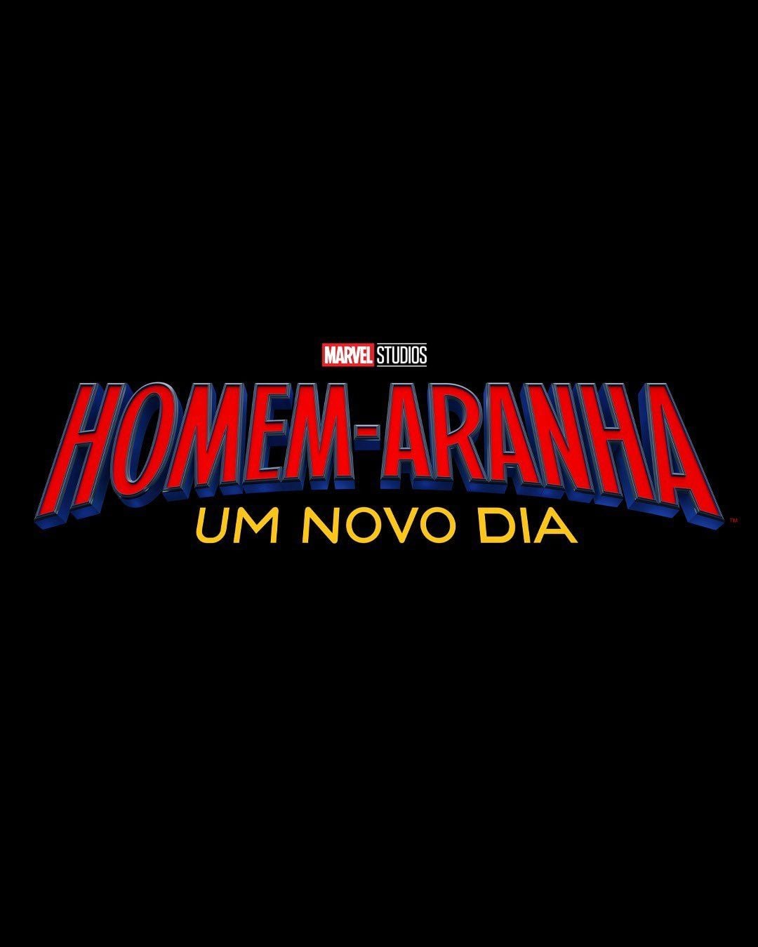 Pôster do filme Homem-Aranha: Um Novo Dia - Foto 1 de 1 - AdoroCinema