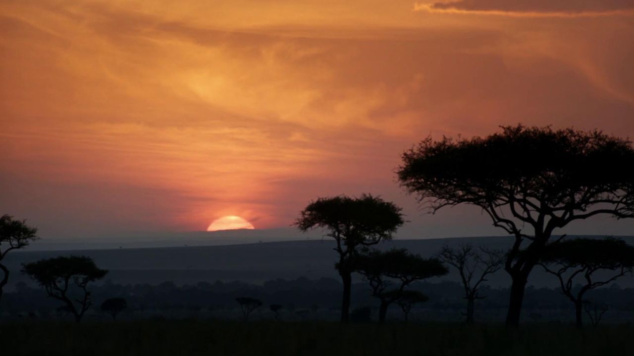 Nem Frozen, nem Toy Story: A animação com maior bilheteria da história ...