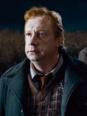 Mark Williams - AdoroCinema