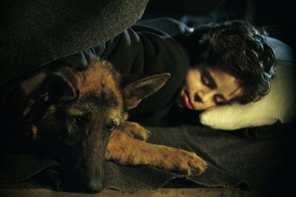 Foto de Danny Lerner - Fotos Danny Lerner - Foto 9 de 13 - AdoroCinema