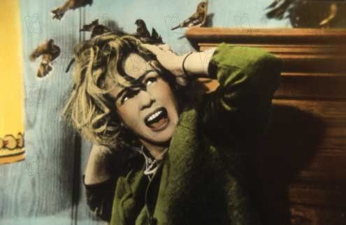 Foto do filme Os Pássaros - Foto 5 de 41 - AdoroCinema