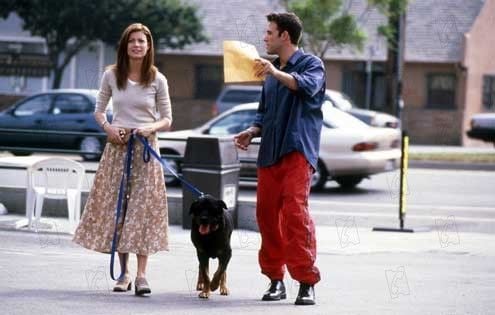 Foto de Don Roos - Mais Que o Acaso : Fotos Don Roos, Ben Affleck, Gwyneth Paltrow - Foto 6 de ...