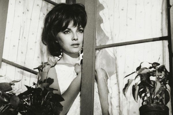 Foto de Virna Lisi - Confusões à Italiana : Foto Pietro Germi, Virna ...