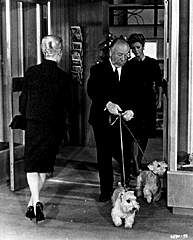 Foto do filme Os Pássaros - Foto 27 de 41 - AdoroCinema
