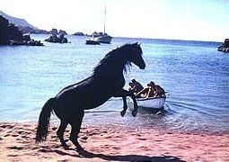 Foto do filme O Corcel Negro - Foto 11 de 15 - AdoroCinema