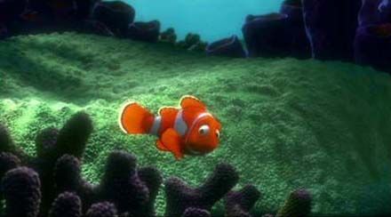 Foto do filme Procurando Nemo - Foto 46 de 48 - AdoroCinema