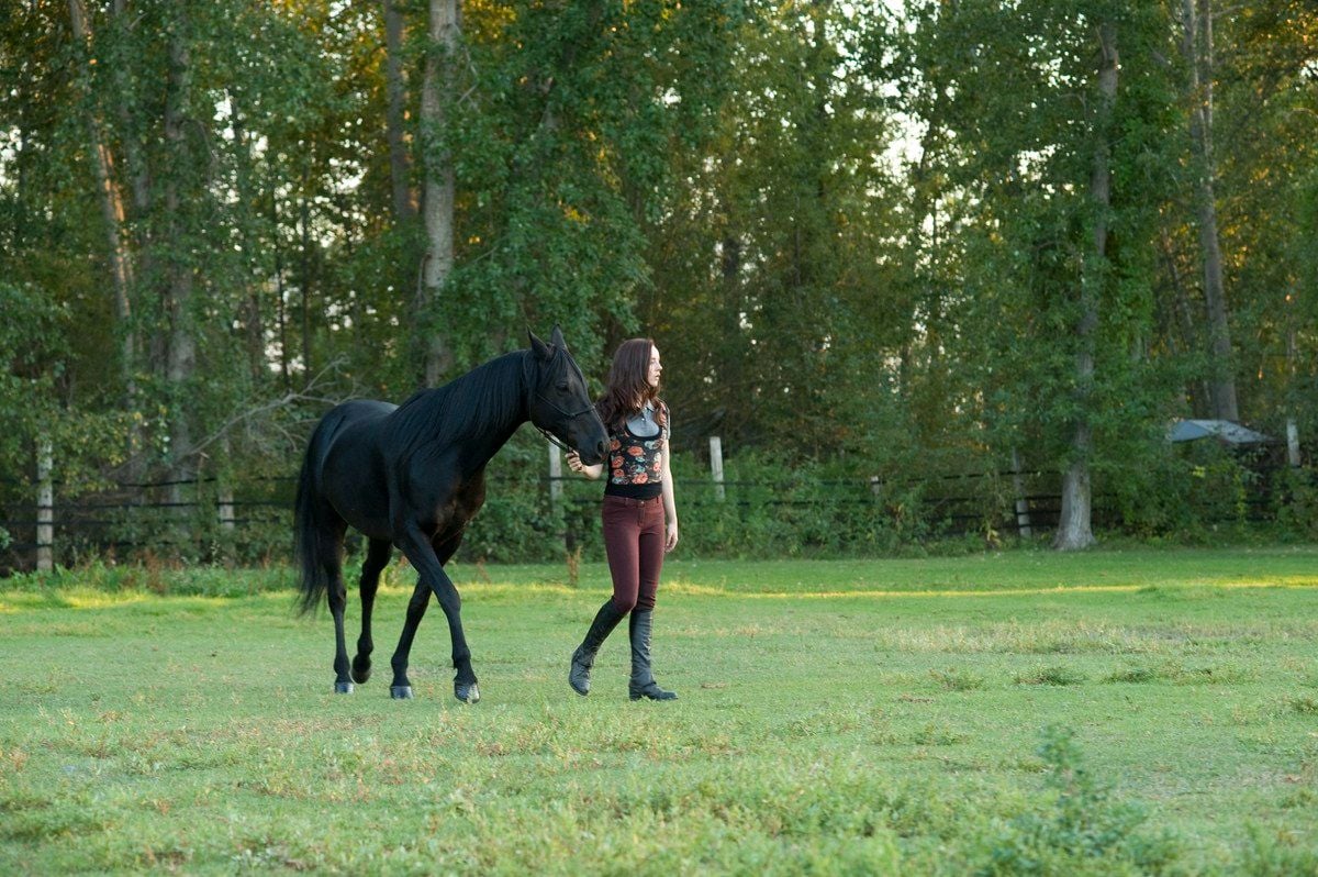 Foto do filme Flicka 3 - Foto 8 de 12 - AdoroCinema