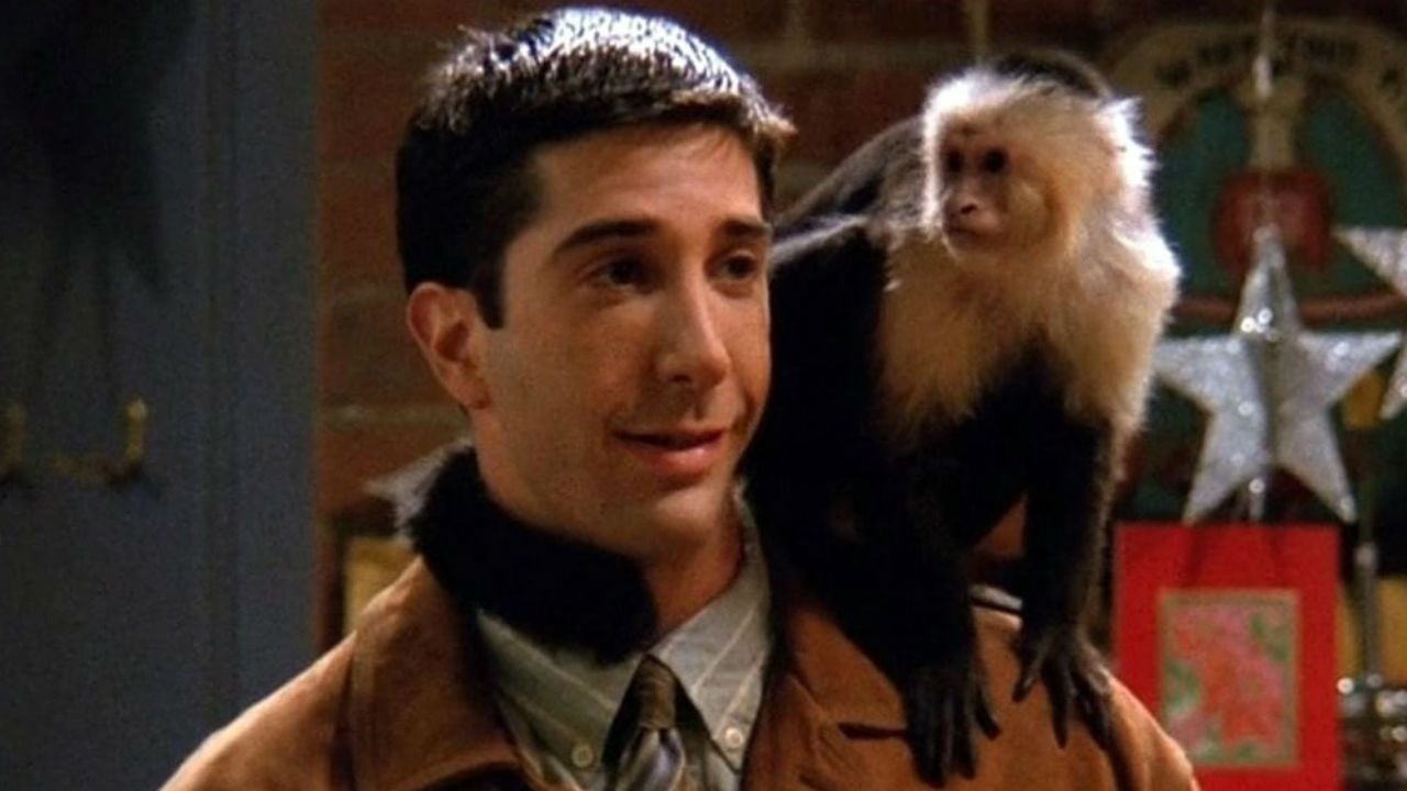 Macaco de Friends, Marcel é escalado em Y: O Último Homem - Notícias de ...