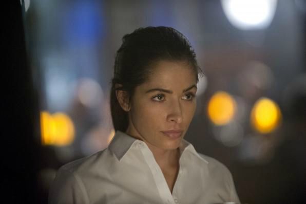 Person Of Interest : Person Of Interest : Fotos Sarah Shahi - 308 no ...