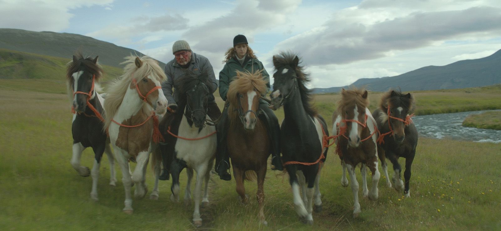 Foto do filme Cavalos e Homens - Foto 3 de 15 - AdoroCinema