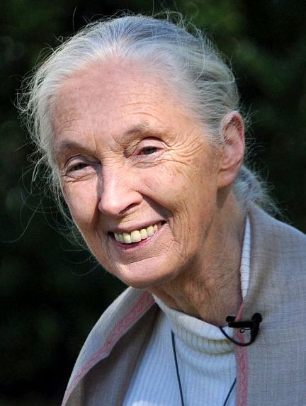 Jane Goodall - AdoroCinema