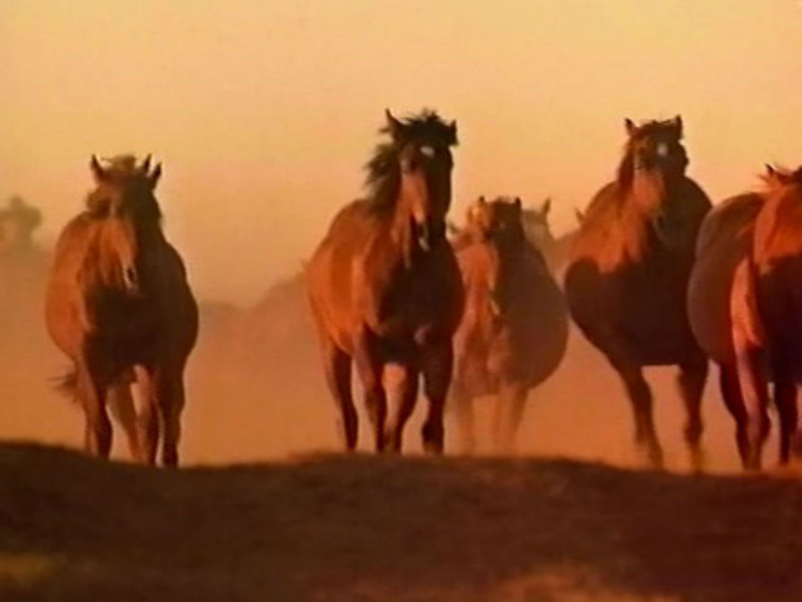 Foto do filme Buena Sorte - Foto 1 de 3 - AdoroCinema