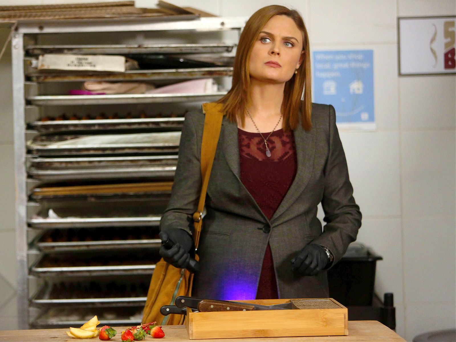 Bones : Bones : Fotos Emily Deschanel - 85 no 633 - AdoroCinema