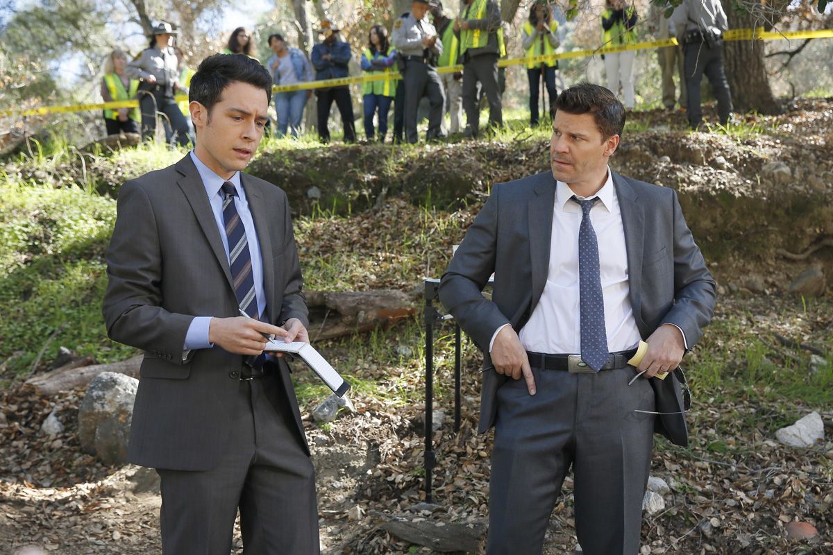 Bones : Bones : Fotos David Boreanaz - 57 no 633 - AdoroCinema