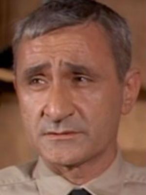 Ralph Manza - AdoroCinema