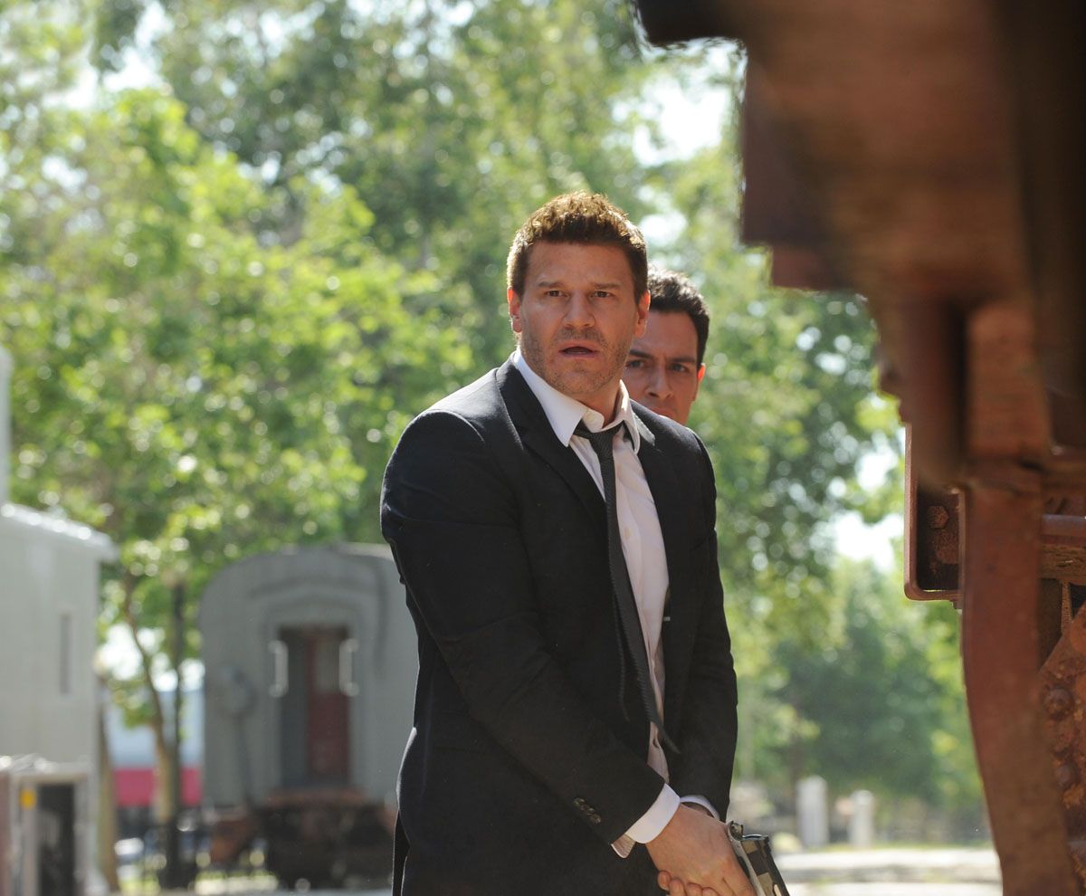 Bones : Bones : Fotos David Boreanaz - 26 no 633 - AdoroCinema
