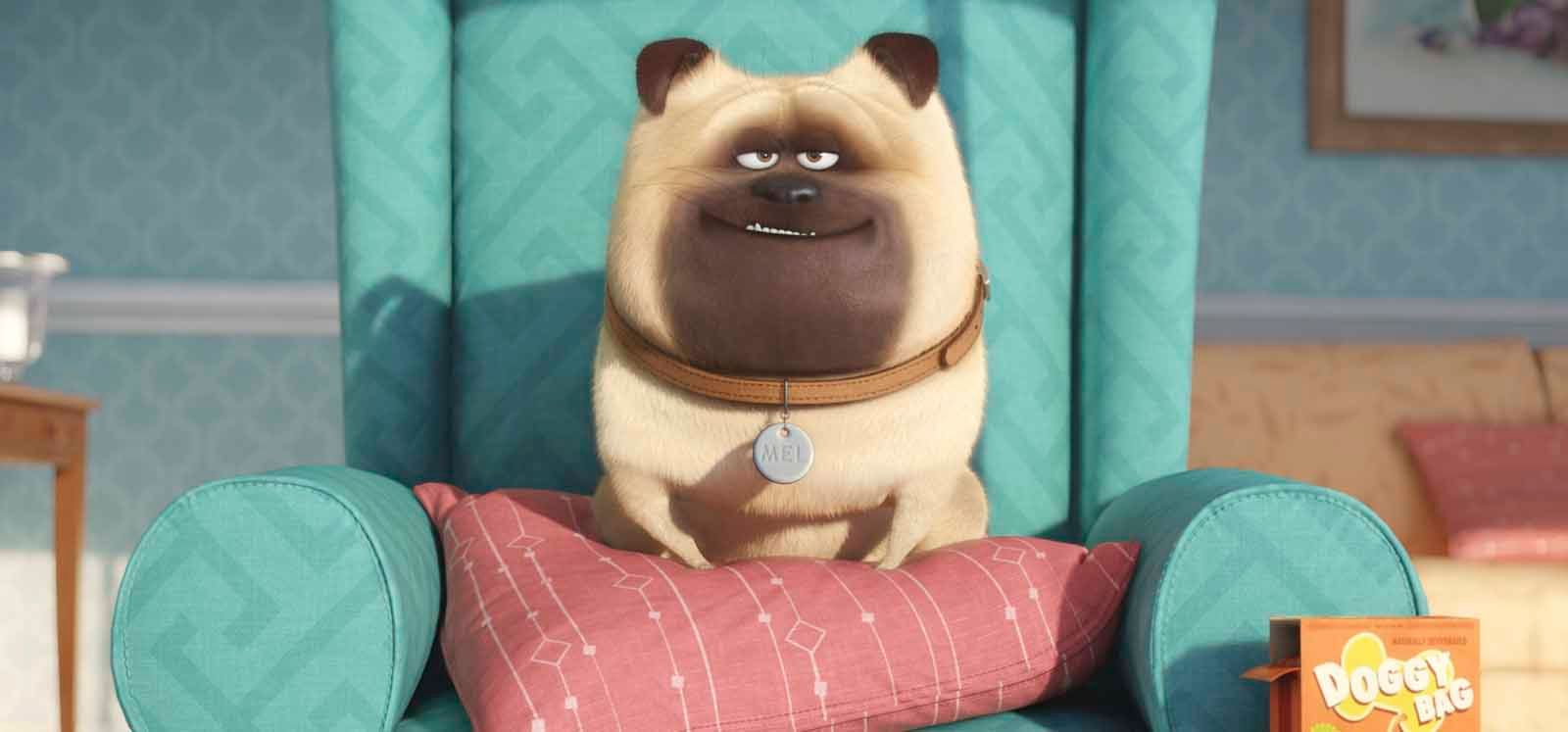 Foto do filme Pets: A Vida Secreta dos Bichos - Foto 47 de 50 - AdoroCinema