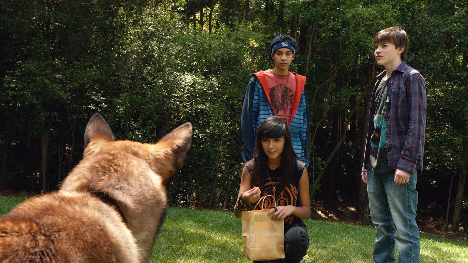 Foto do filme Max - O Cão Herói - Foto 17 de 34 - AdoroCinema