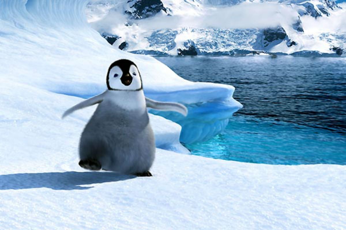 Foto do filme Happy Feet - O Pinguim - Foto 43 de 72 - AdoroCinema
