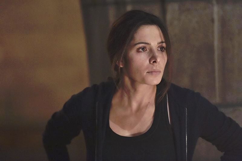 Person Of Interest : Person Of Interest : Fotos Sarah Shahi - 51 no 601 ...