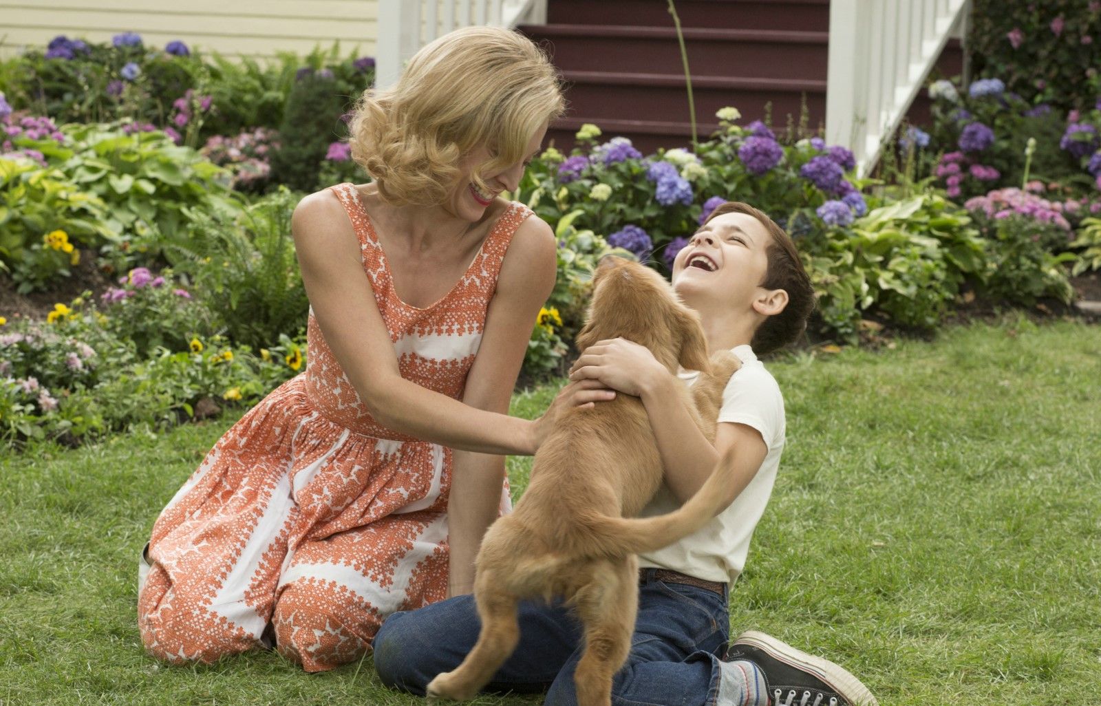 Foto do filme Quatro Vidas de um Cachorro - Foto 29 de 32 - AdoroCinema