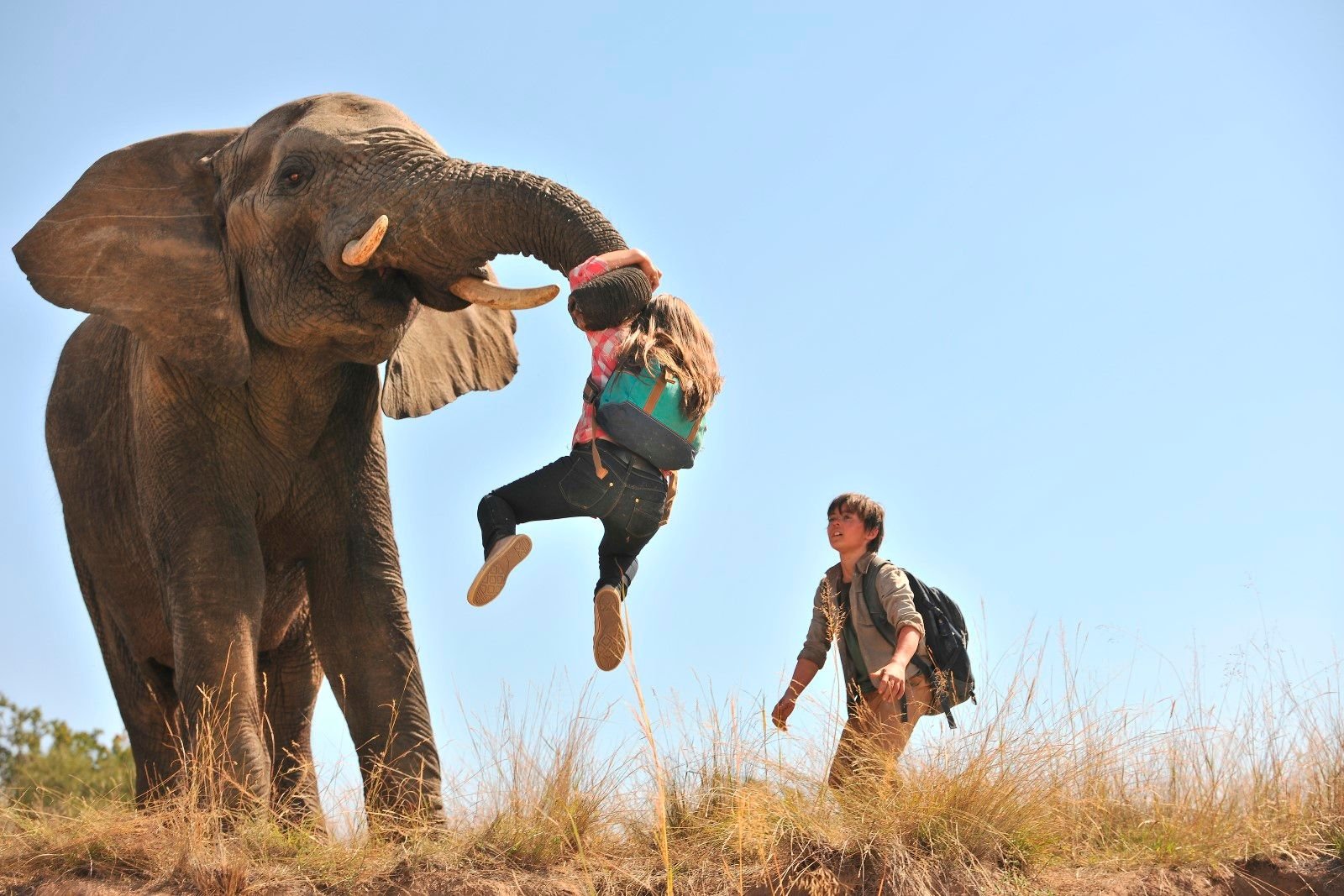 Foto de Ella Ballentine - Against the Wild 2: Survive the Serengeti : Photo Ella Ballentine ...