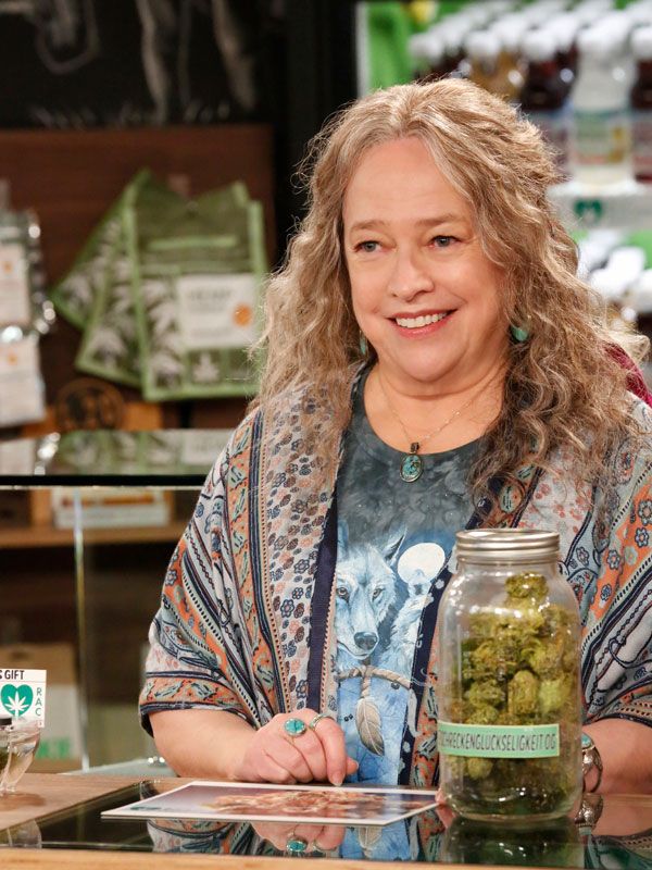 Pôster Disjointed 1ª temporada - Pôster 23 no 32 - AdoroCinema