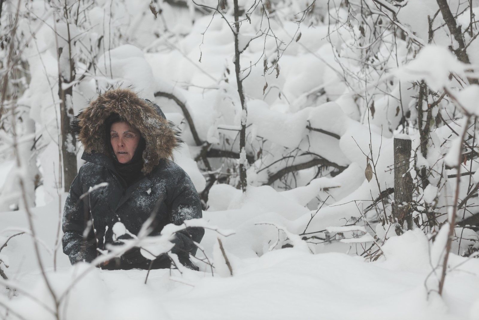 Foto do filme A Fera - Foto 2 de 10 - AdoroCinema
