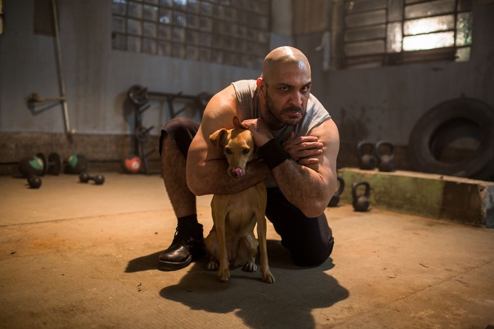 Rio Heroes : Rio Heroes : Fotos - 11 no 21 - AdoroCinema