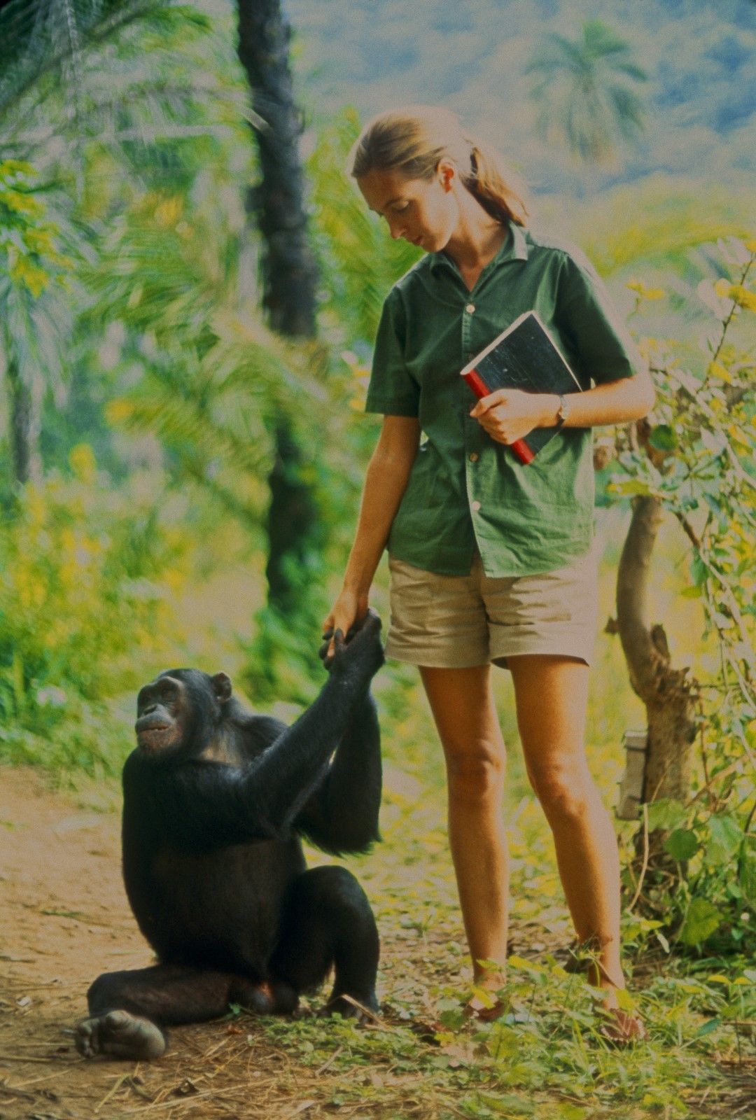 Foto de Jane Goodall - Jane: A Mãe dos Chimpanzés : Fotos Jane Goodall ...