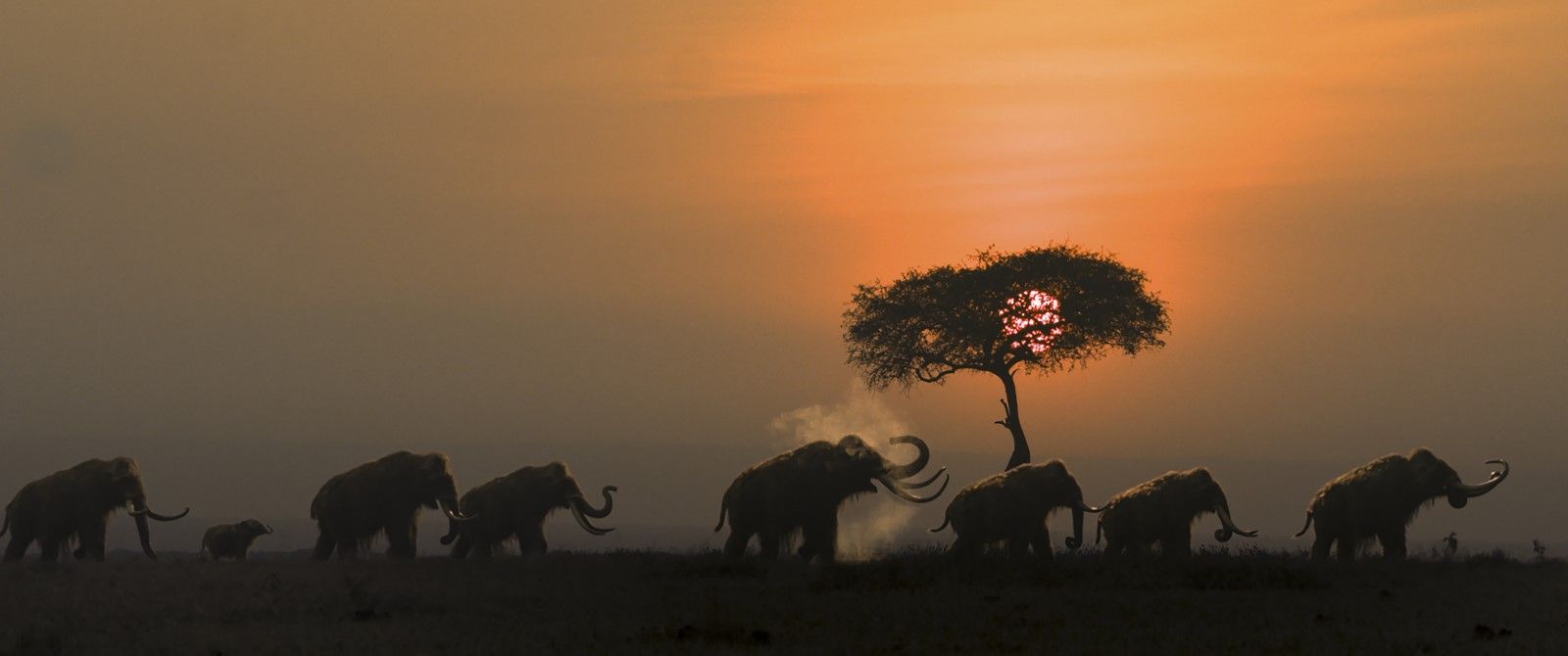 Foto do filme Alfa - Foto 11 de 28 - AdoroCinema