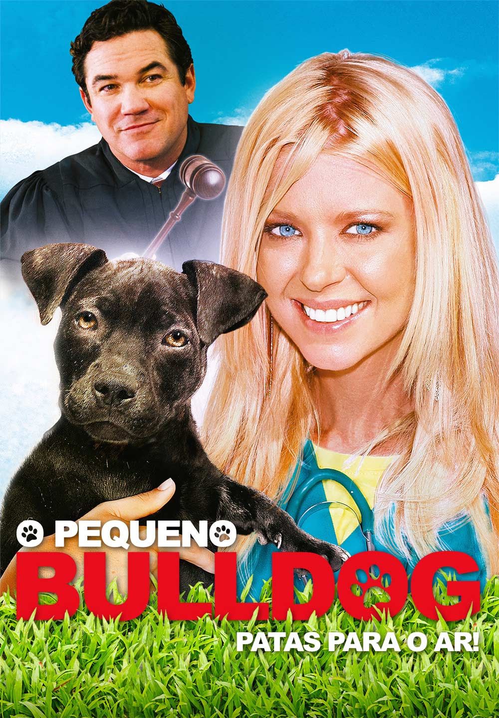 O Pequeno Bulldog - Filme 2016 - AdoroCinema