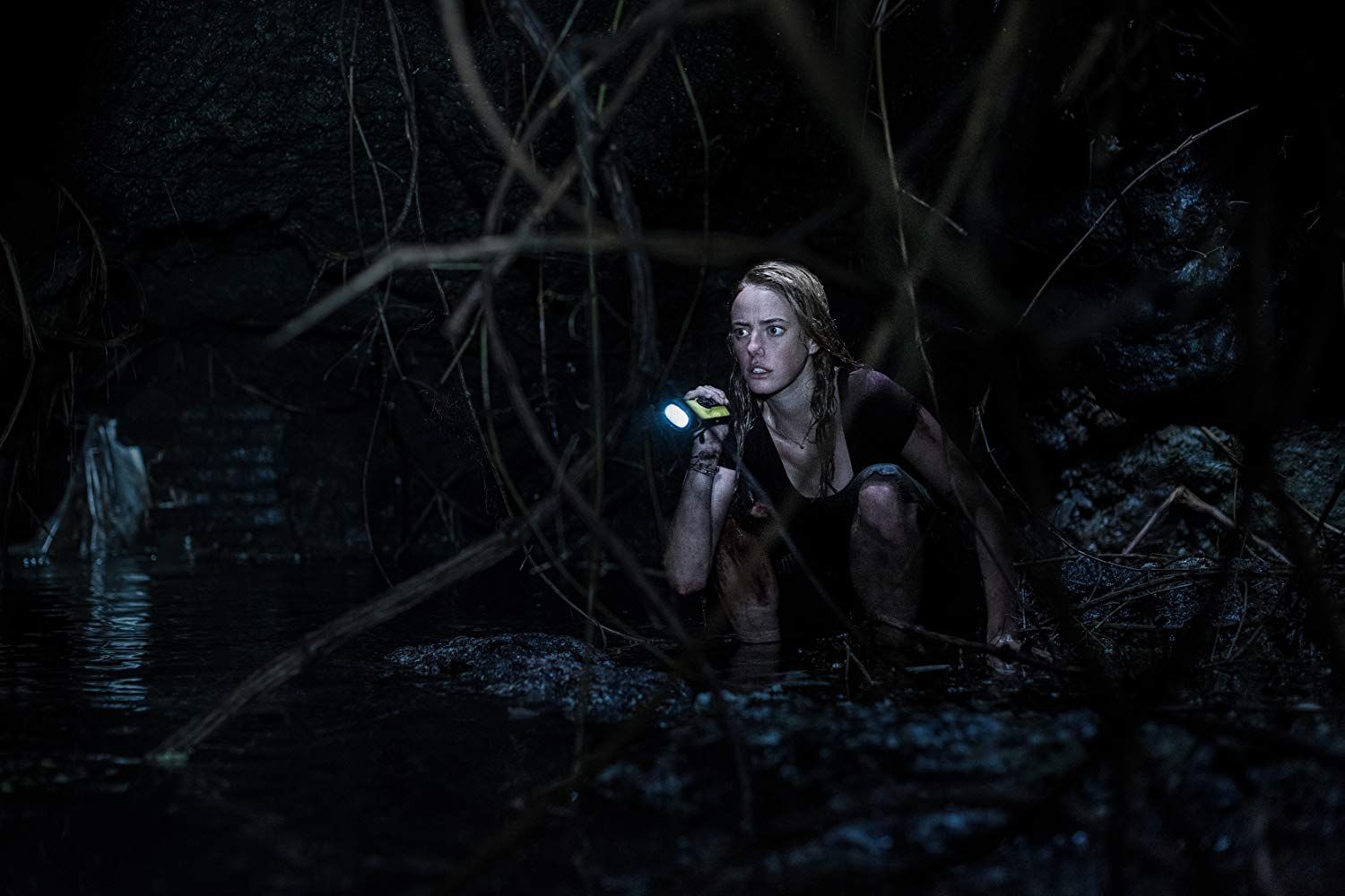 Foto de Kaya Scodelario - Predadores Assassinos : Fotos Kaya Scodelario ...