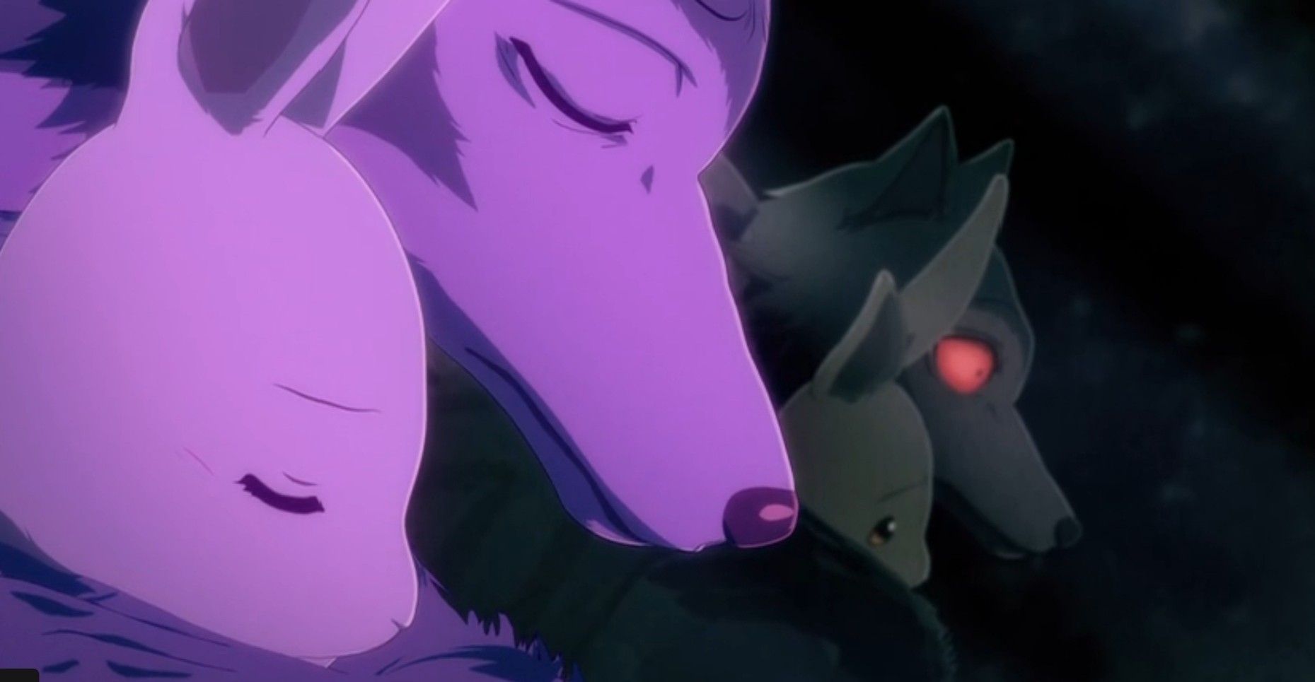 BEASTARS - O Lobo Bom : BEASTARS - O Lobo Bom : Fotos - 4 no 25 ...