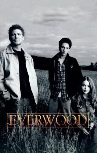 Pôster Everwood - Pôster 5 no 8 - AdoroCinema