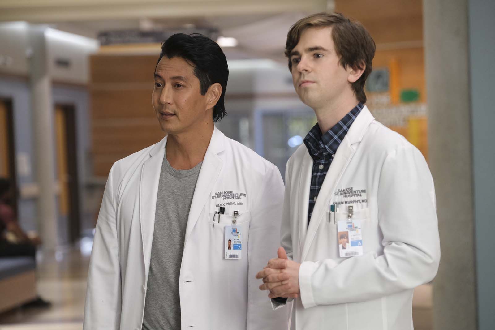 The Good Doctor : The Good Doctor : Fotos Will Yun Lee, Freddie ...