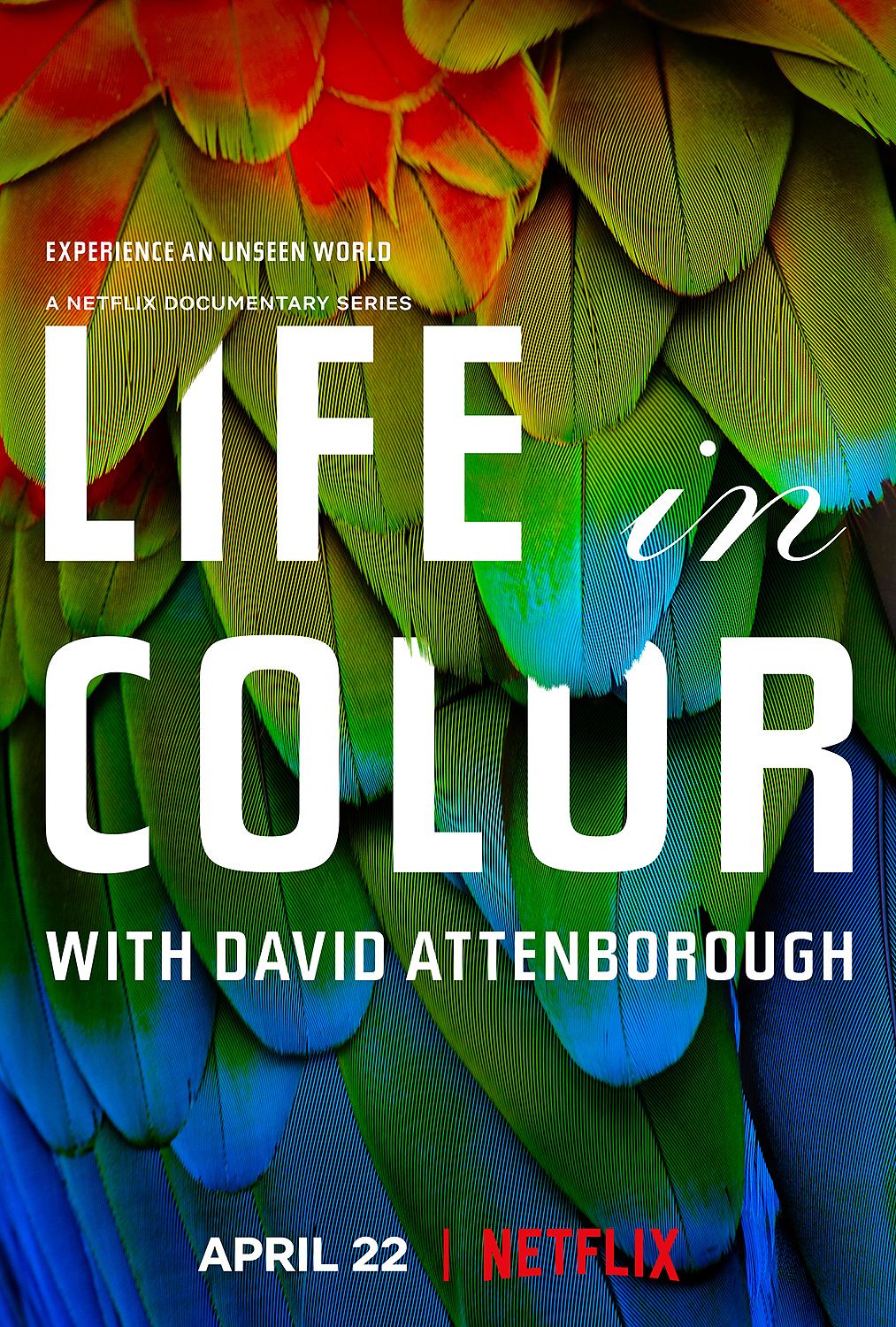 A Vida em Cores com David Attenborough - Série 2021 - AdoroCinema