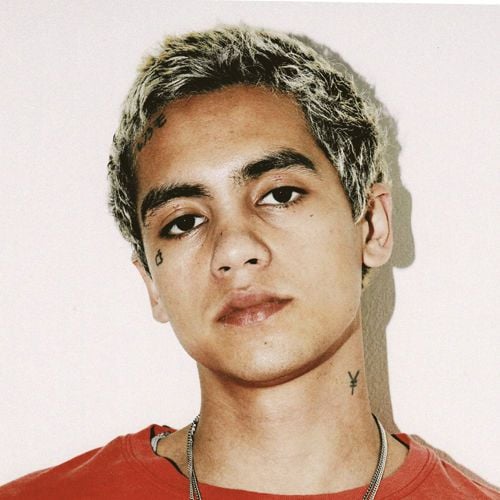 Dominic Fike - AdoroCinema