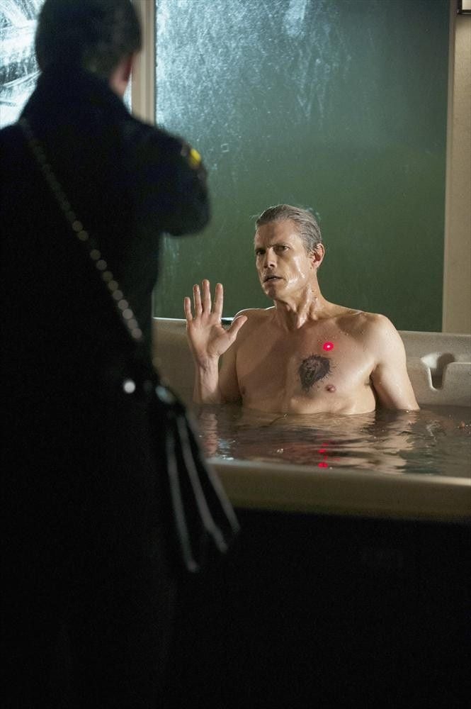 Foto de Cameron Bancroft - Motive : Fotos Cameron Bancroft - Foto 1 de ...