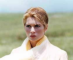 Esplendor : Esplendor : Fotos - 9 no 12 - AdoroCinema