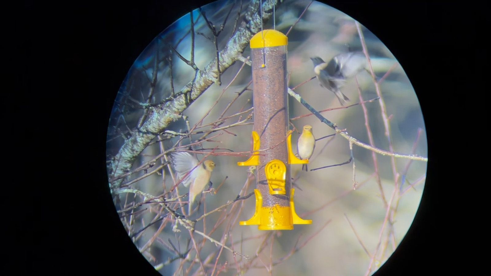 Foto do filme Horse Opera - Foto 3 de 9 - AdoroCinema