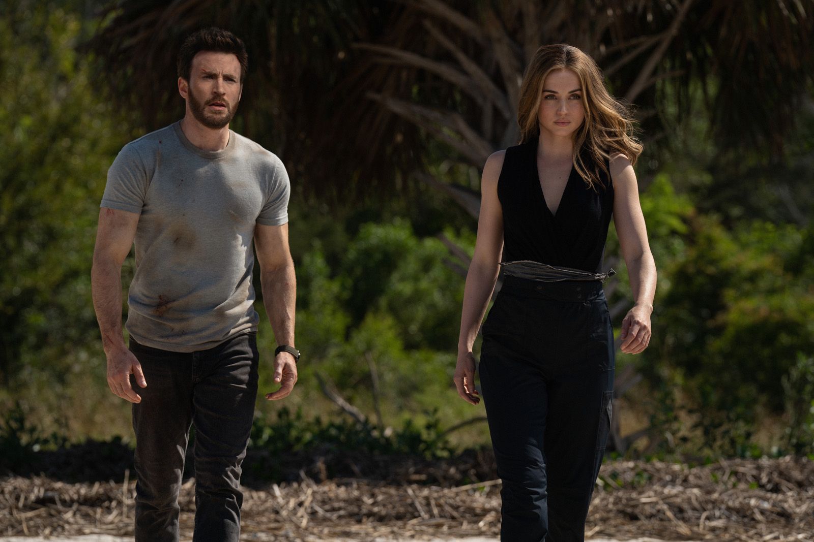 Foto do filme Ghosted: Sem Resposta - Foto 12 de 17 - AdoroCinema