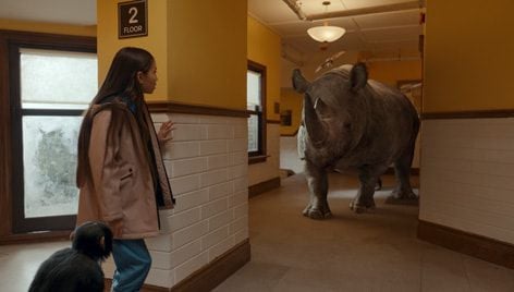 Jane : Jane : Fotos - 4 no 11 - AdoroCinema