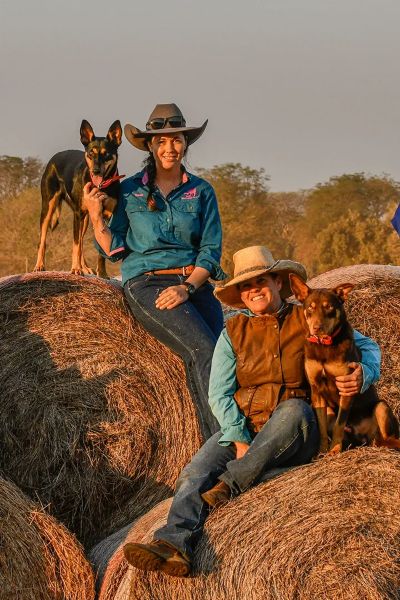 Muster Dogs: Muster Dogs : Foto - 1 no 2 - AdoroCinema