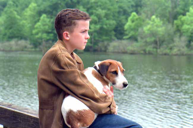 Foto do filme Meu Cachorro Skip - Foto 24 de 26 - AdoroCinema