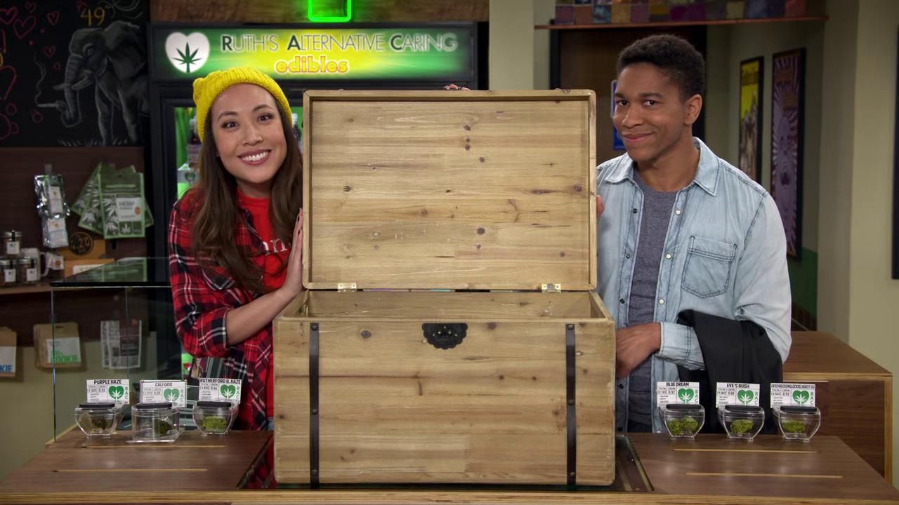 Pôster Disjointed 1ª temporada - Pôster 16 no 32 - AdoroCinema